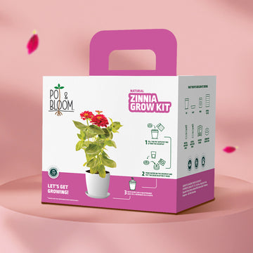 Flower Kits - Buy Flower Growing Kits Online at Pot and Bloom