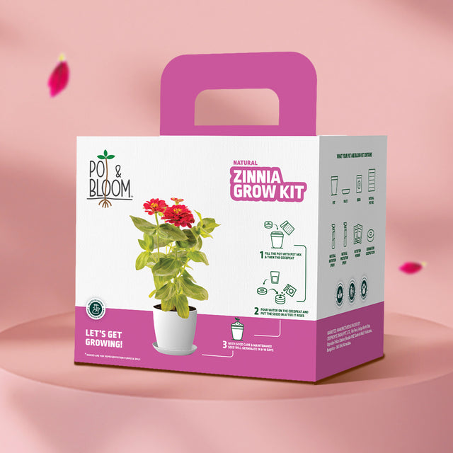 Flower Kits - Buy Flower Growing Kits Online at Pot and Bloom