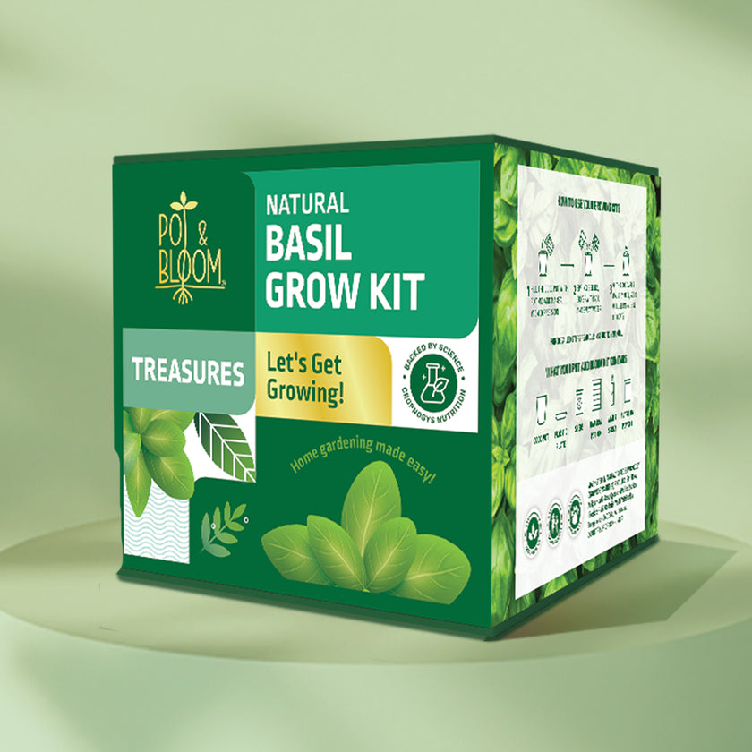 Buy Treasures Basil Kit Online at Best Price | Pot and Bloom