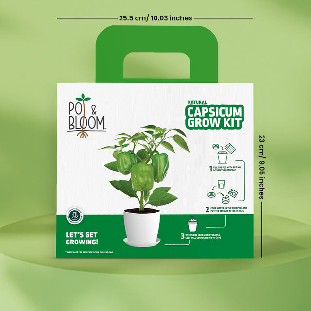 Buy Capsicum Grow Kit Online at Best Price | Pot and Bloom