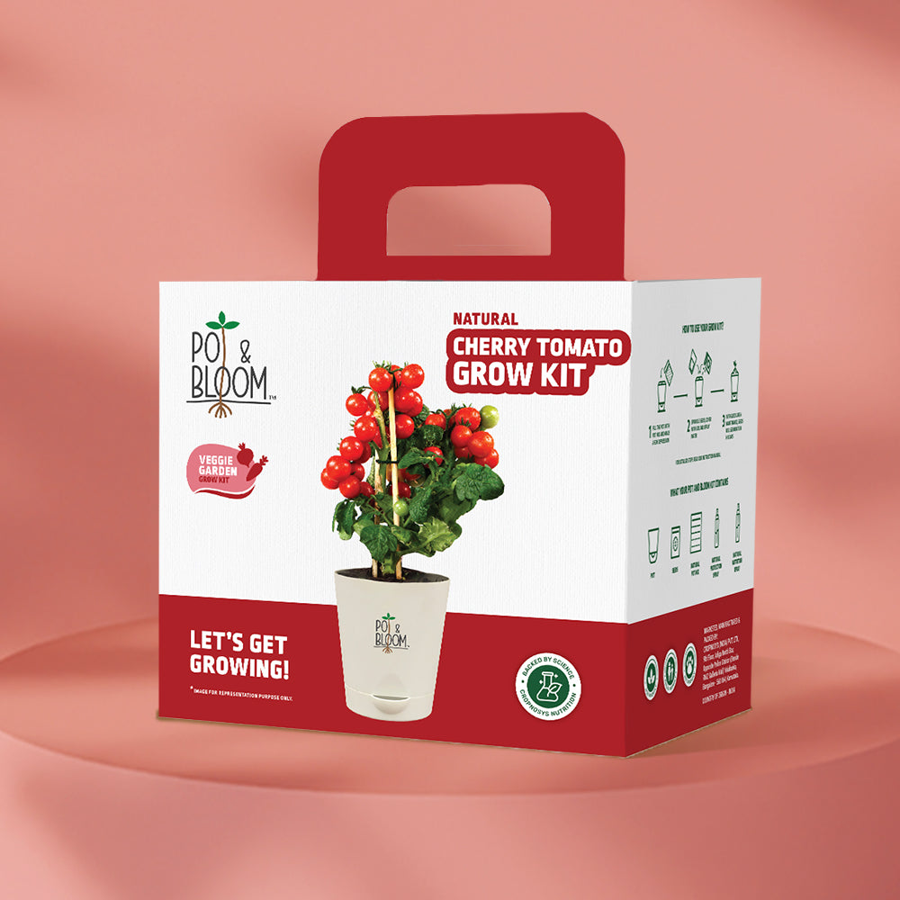 Vegetable Kit - Buy Vegetable Grow Kits Online at Pot and Bloom