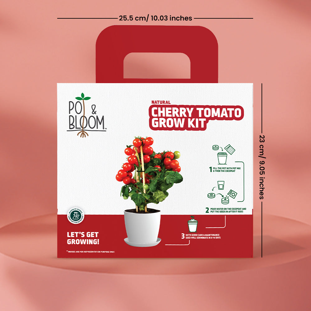 Buy Cherry Tomato Grow Kit Online at Best Price | Pot and Bloom