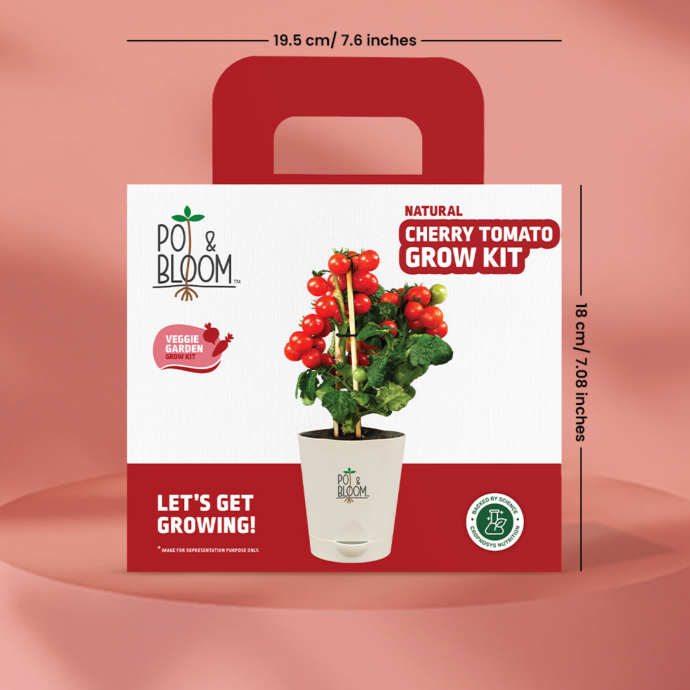 Cherry Tomato Grow Kit (medium) – Pot and Bloom