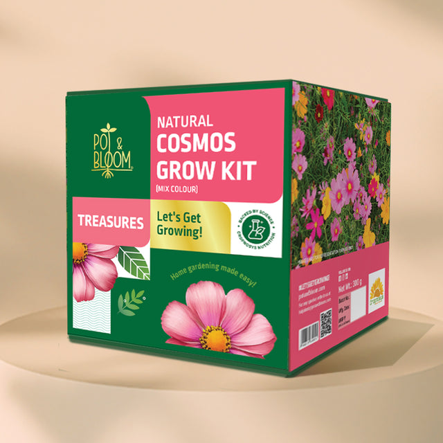 Buy DIY Gardening Kits Online at Best Price - Pot and Bloom