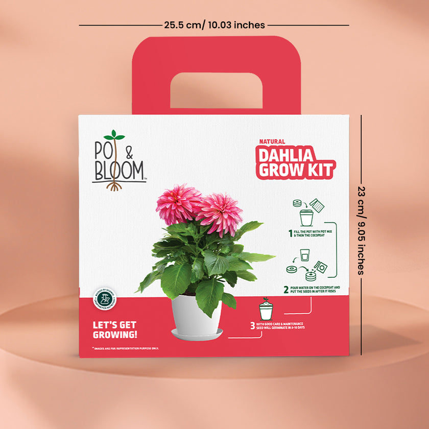 Flower Kits - Buy Flower Growing Kits Online at Pot and Bloom
