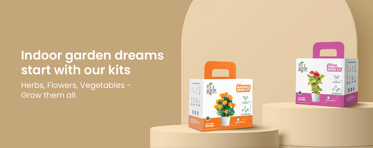 Flower Kits - Buy Flower Growing Kits Online at Pot and Bloom