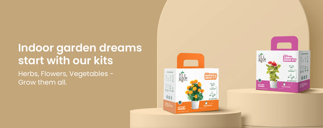 Flower Kits - Buy Flower Growing Kits Online at Pot and Bloom