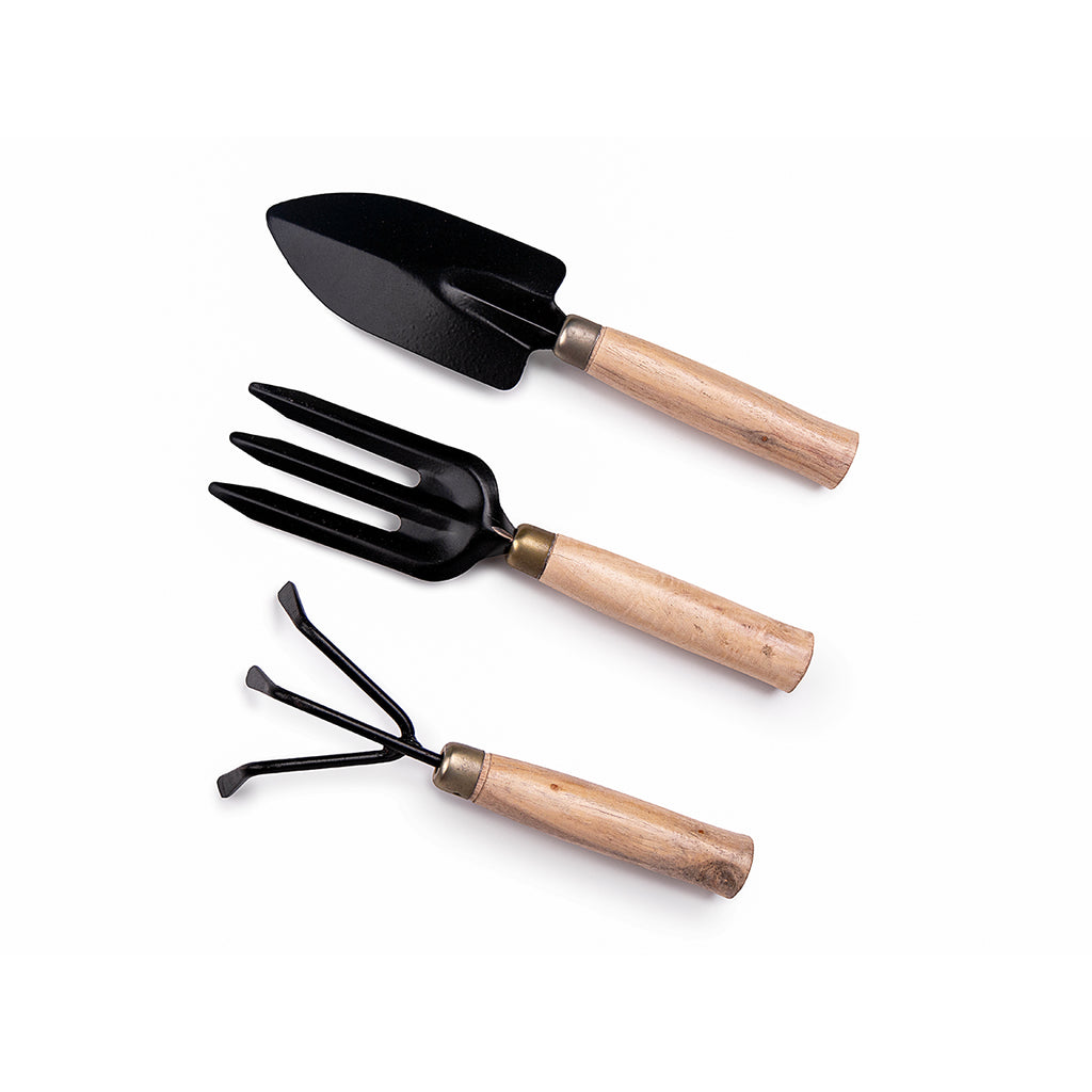 Buy Gardening Tools Set of 3 Online at Best Price | Pot and Bloom