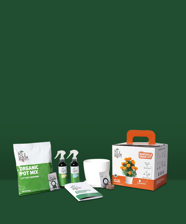 Gardening Kit - Buy Seed and Plant Care Products Online at Pot & Bloom ...