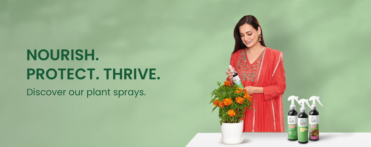 Buy Plant Protection and Nutrition Sprays @37% OFF at Pot and Bloom