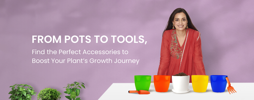 Buy Gardening Tools and Accessories Online at Pot and Bloom