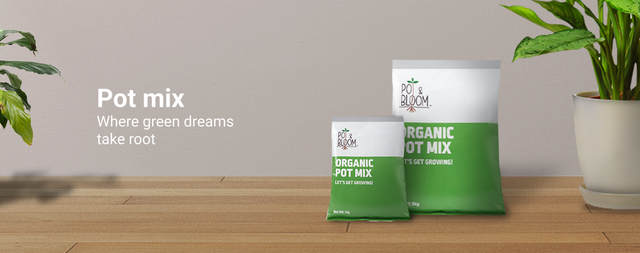 Potting Soil - Buy Pot Mix for Plant Nutrition Online at Pot and Bloom