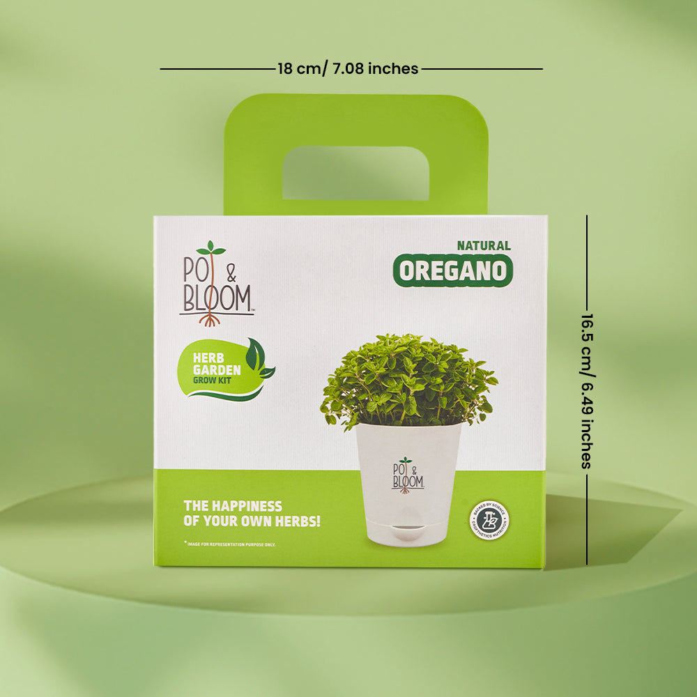 Buy Oregano Kit Online at Best Price | Pot and Bloom
