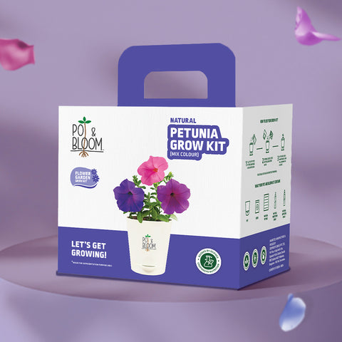 Flower Kits - Buy Flower Growing Kits Online at Pot and Bloom