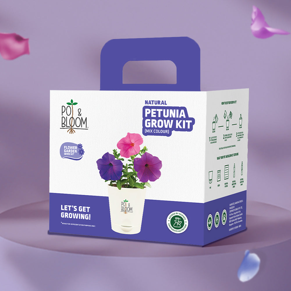 Flower Kits - Buy Flower Growing Kits Online at Pot and Bloom