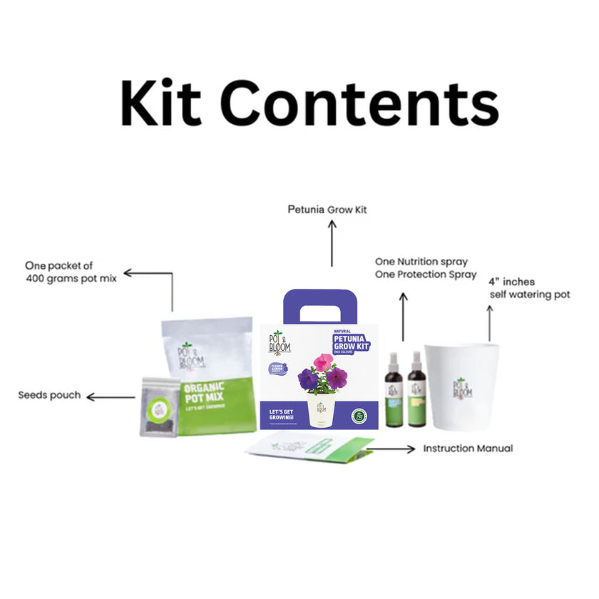 Petunia Grow Kit – Pot and Bloom