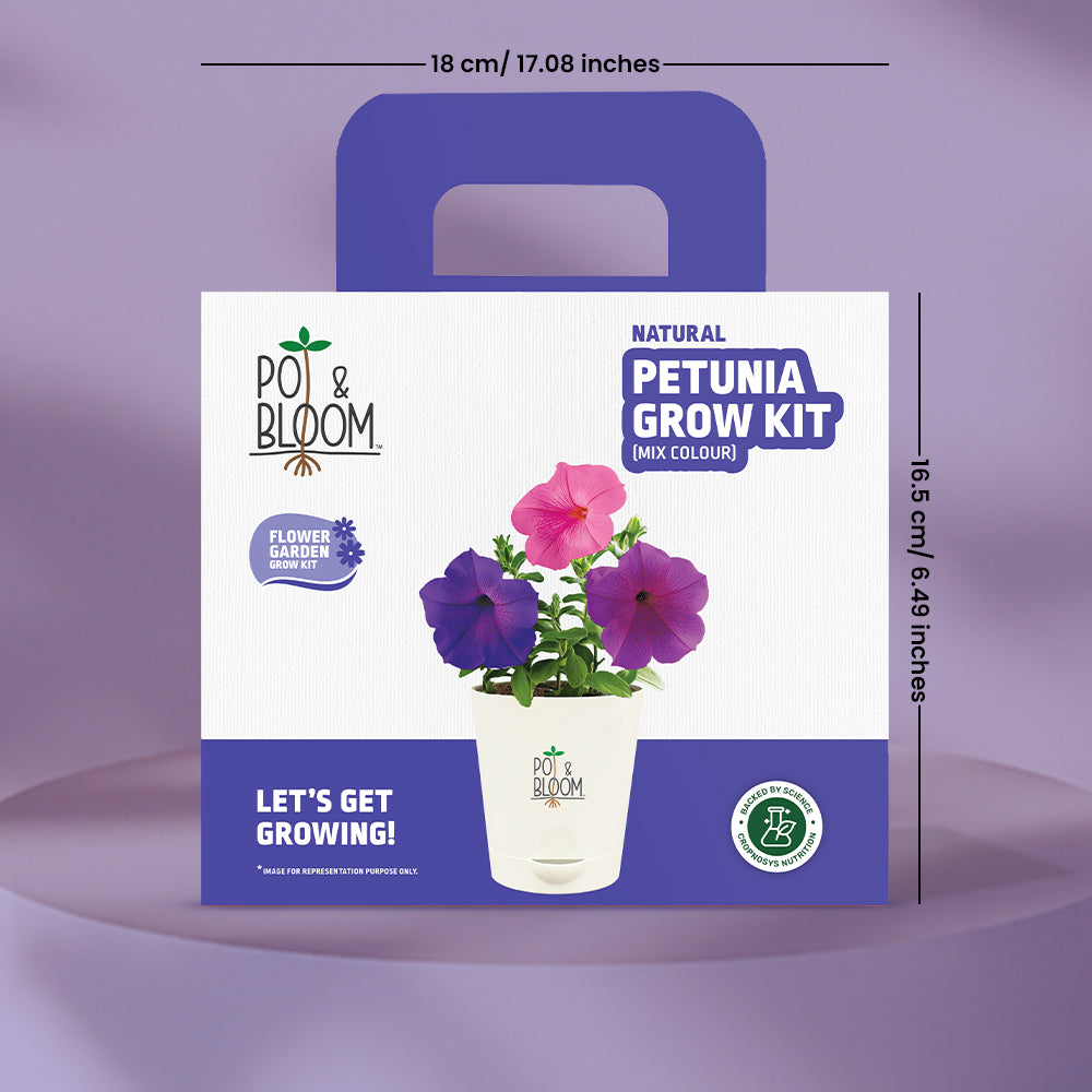Buy Petunia Grow Kit Online at Best Price | Pot and Bloom