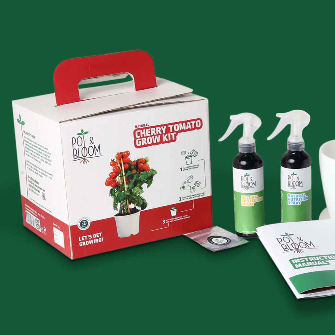 Gardening Kits, Seeds and Plant Care Products Online at Pot and Bloom