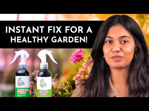 Buy Mealy Bug Buster and Flower Boost Spray Combo (250ml) at Best Price ...