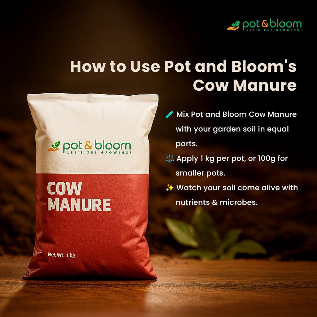 Cow Manure 1 KG – Pot and Bloom