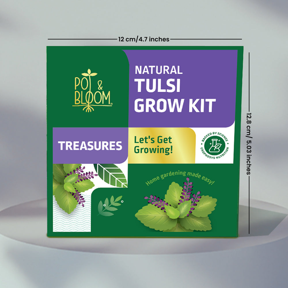 Treasures Tulsi Grow Kit – Pot and Bloom
