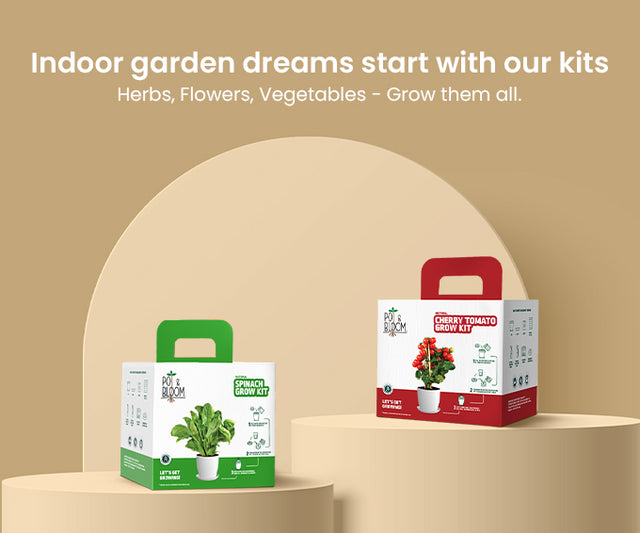 Vegetable Kit - Buy Vegetable Grow Kits Online at Pot and Bloom