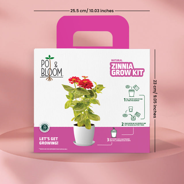 Flower Kits - Buy Flower Growing Kits Online at Pot and Bloom