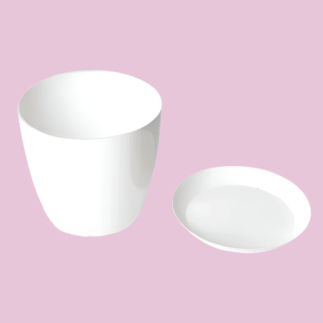 Pot and Plate- Buy Pot Plates For Plant Online at Pot and Bloom